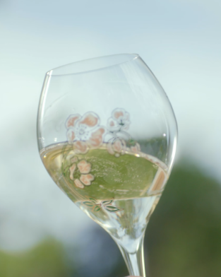 Champagne: disgorging and dosage, achieving the perfect balance ...